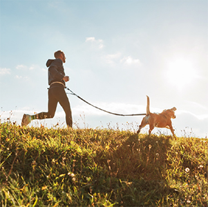 Cani Cross | Canidays avec Hill’s