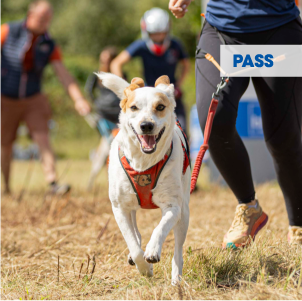 Cani Cross | Canidays avec Hill’s